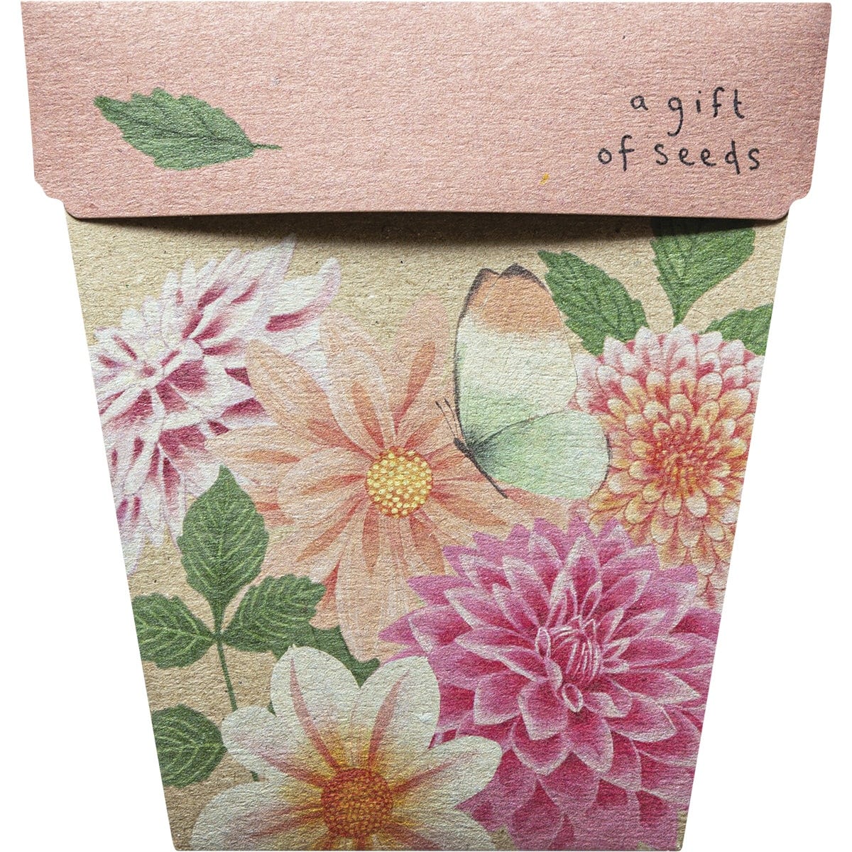 Sow 'N Sow Gift of Seeds Dahlia – Mega Health Warehouse